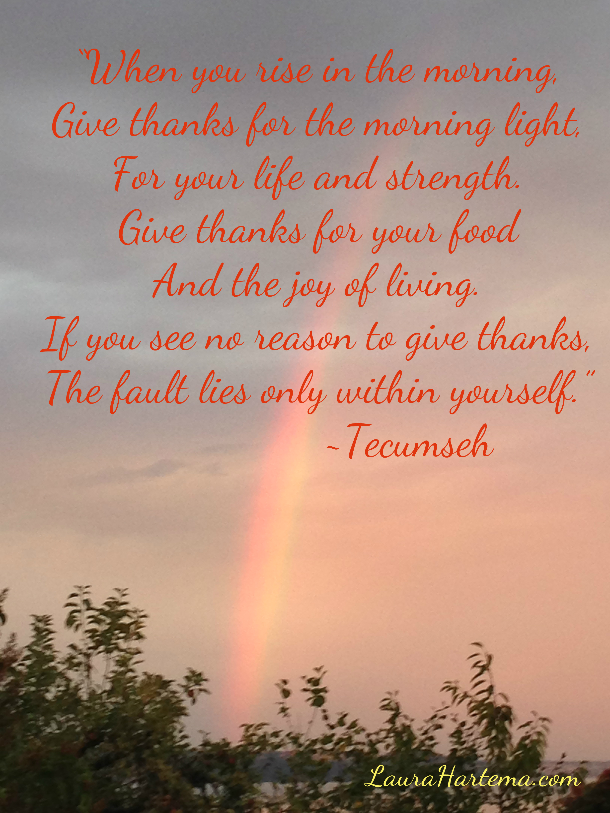 Give Thanks Every Day – Laura Hartema